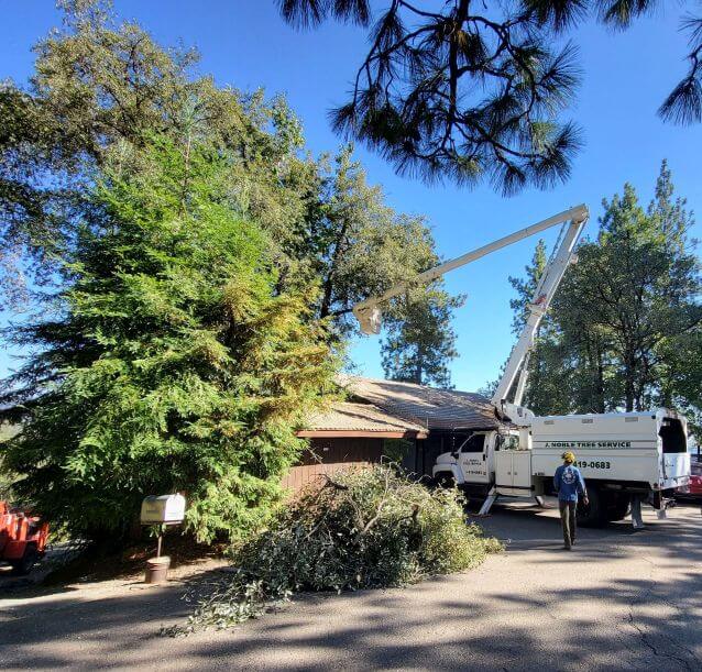 Preparing for Winter - Mini-Mover Conveyors